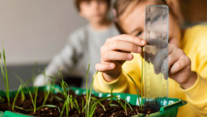 Fast Growing Plants For Science Projects: Exploring Nature's ...